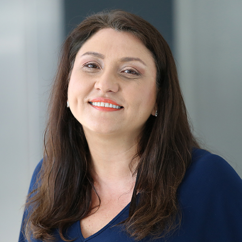 Gabriela Balanescu » VHCI Business Development